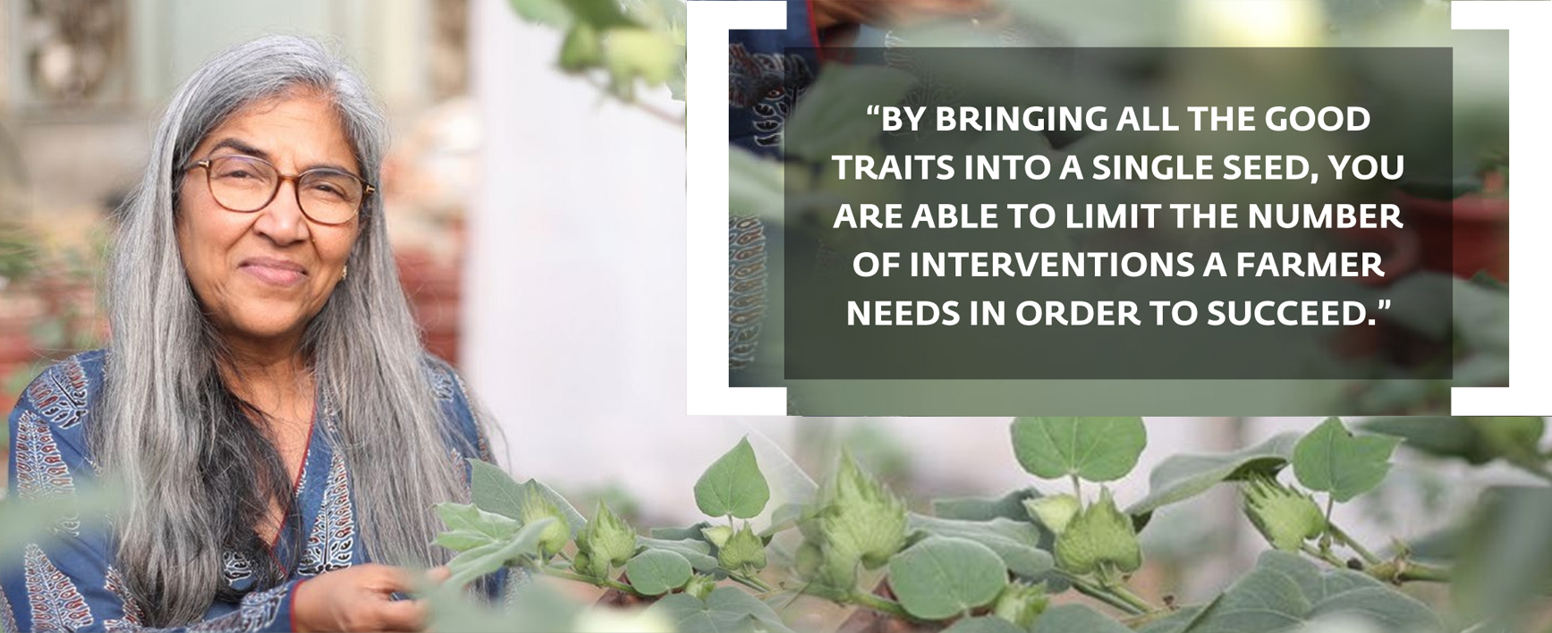 Mahyco International Pte. Ltd (mipl)